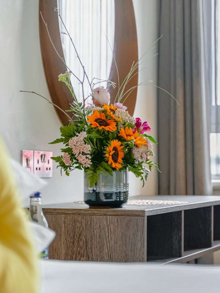 Base Dingle | Places To Stay In Dingle | Dingle Hotels